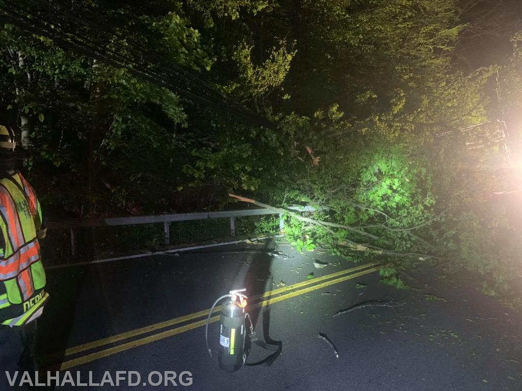 Tree Takes Out Power, Shuts Down Roadway - Valhalla Fire Department